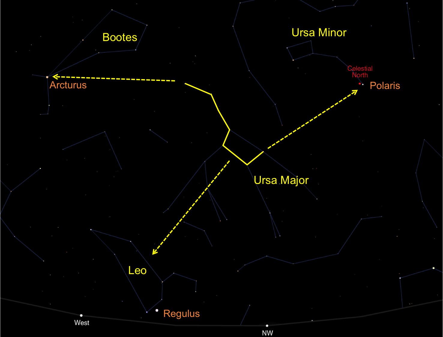 Ursa Major And Ursa Minor