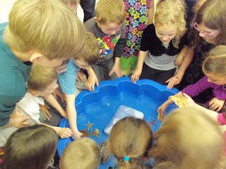 Huntsman Marine Science Centre: M. Gerald Teed Memorial School