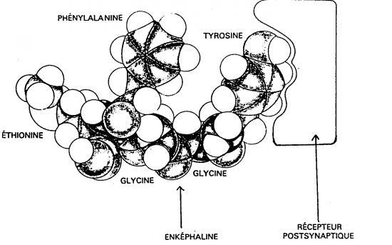 Sportivement scientifique !: Que du bonheur