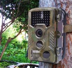 APEMAN H55 Wildlife Trail Camera 16MP 1080P Review - 13Reviews