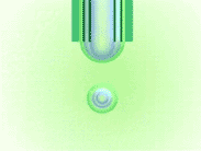 ENCAPSULATION PROCESS: