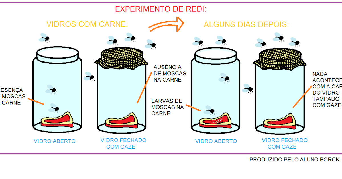 Colectivo06903: redi