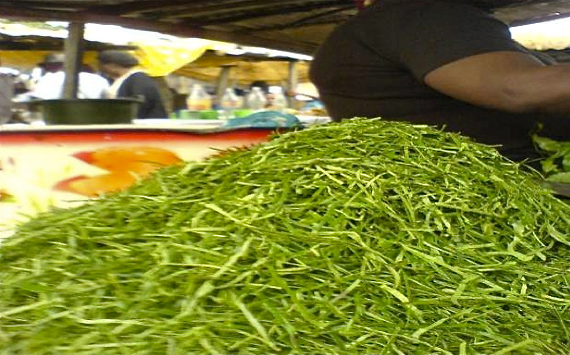 Farms Forests Foods: Forest Foraging: Recipes from Cameroon