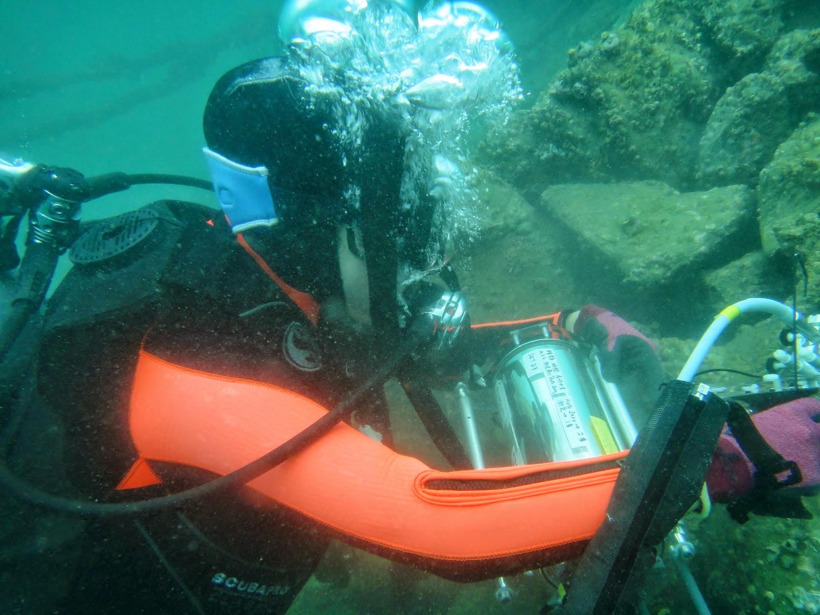 Seaweed Research Journal 海藻研究ジャーナル : Diving-PAM