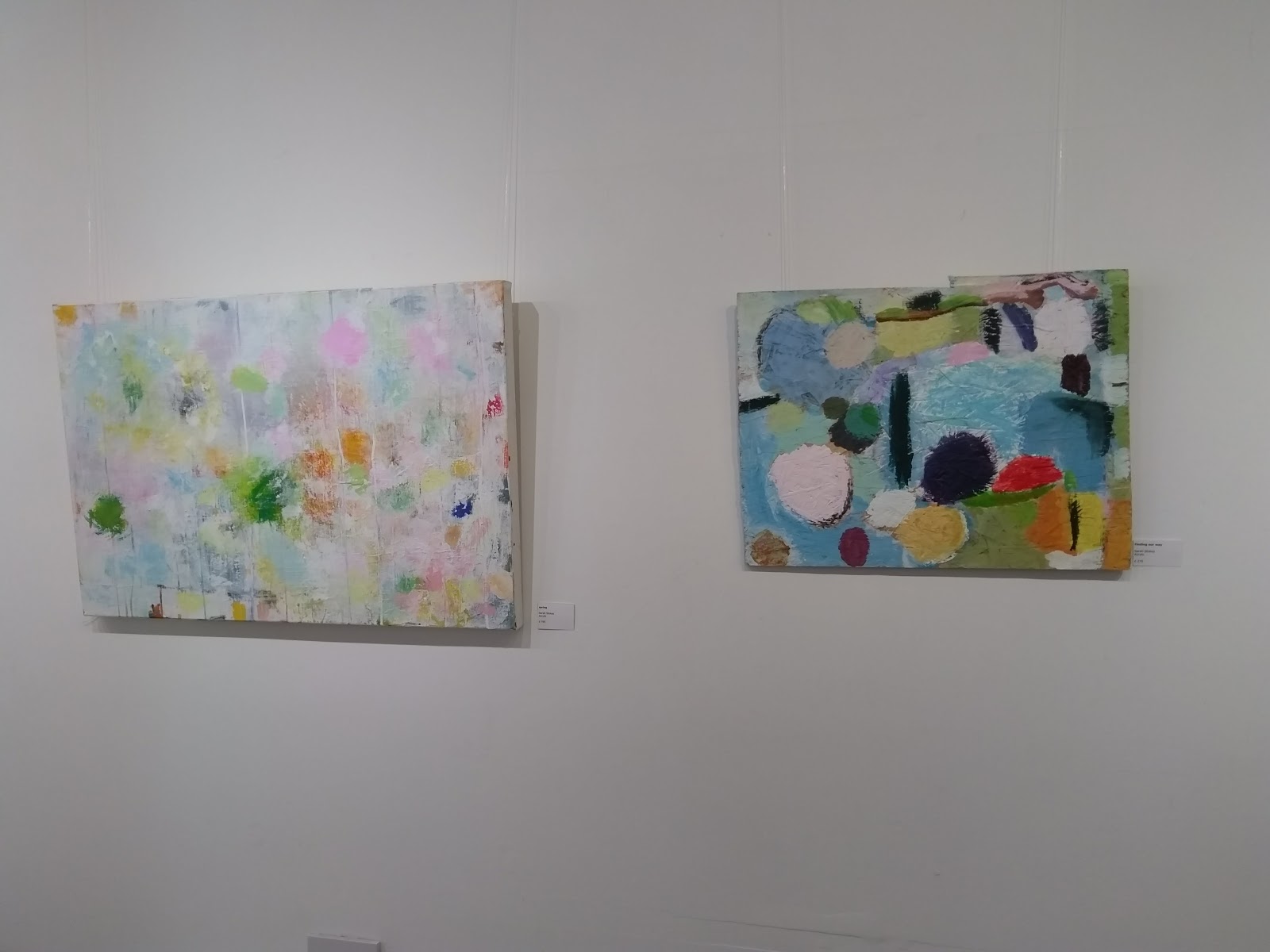 thanetonline: Sarah Stokes at York Street Gallery in Ramsgate