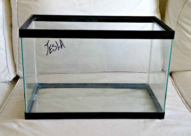 Repurposed Fish Tank - Little Vintage Cottage