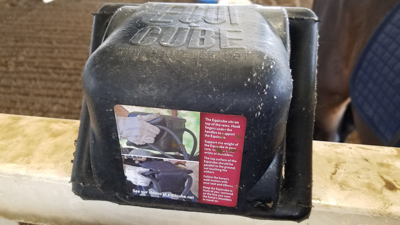 Training Cupid, my ex-racehorse: Equicube Review