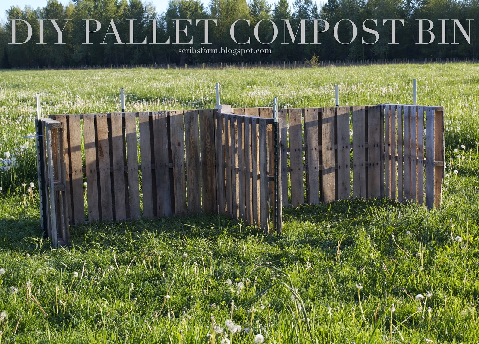 Scribs farm: DIY Pallet compost