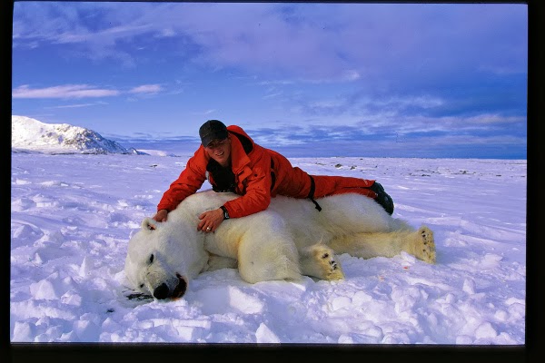 Art et glam: Photographe : Paul Nicklen, ses photos d'animaux des ...