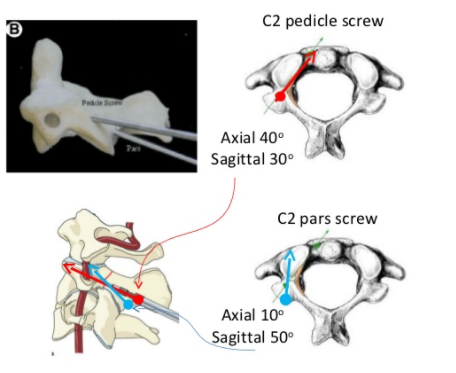 Ten Things That I Learned Today