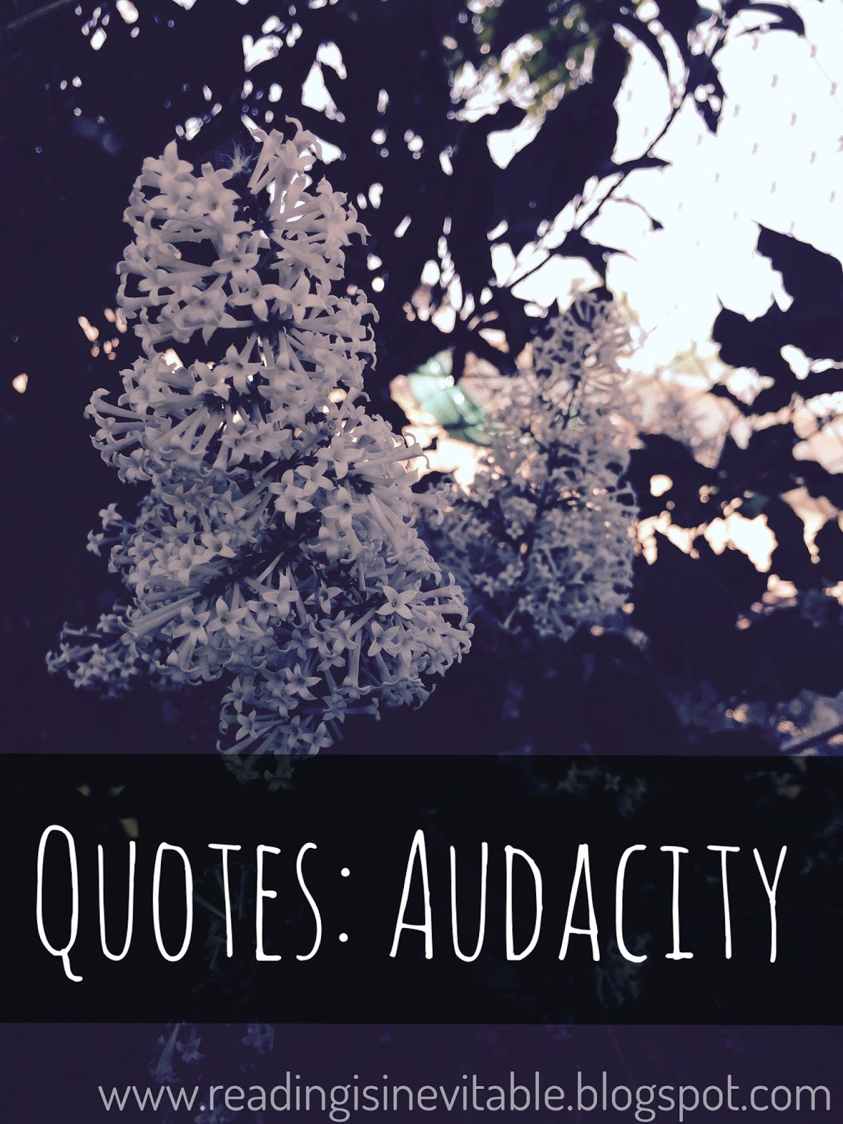 Quotes: Audacity