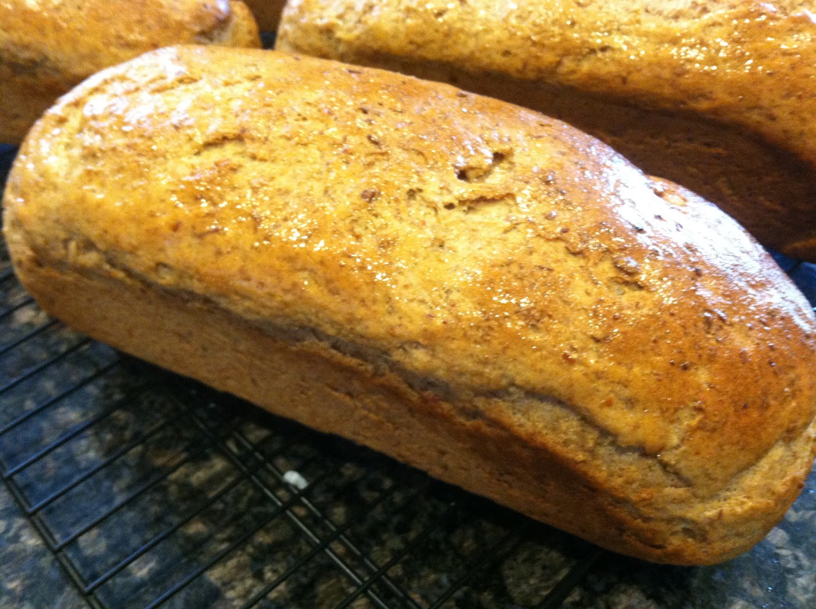 seeshellspace: Sprouted Ezekiel 4:9 Bread