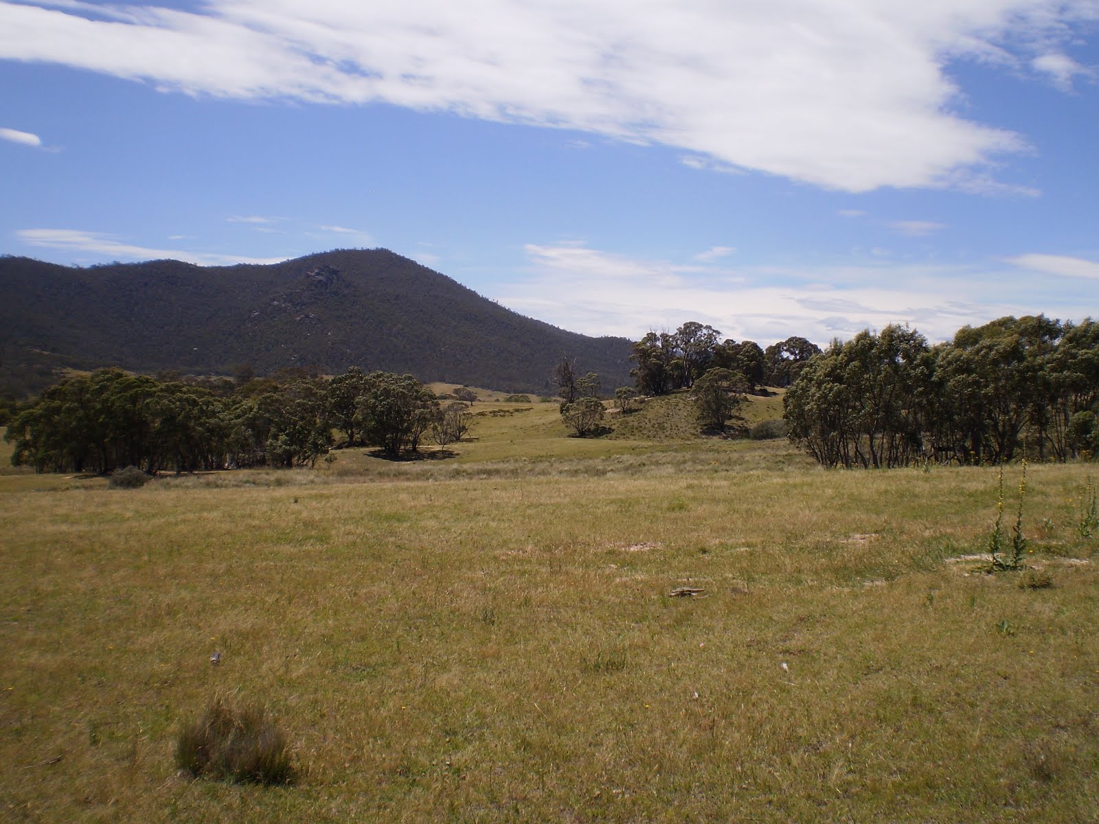 Phil's Bushwalking Blog: Namadgi National Park: Honeysuckle to Orroral