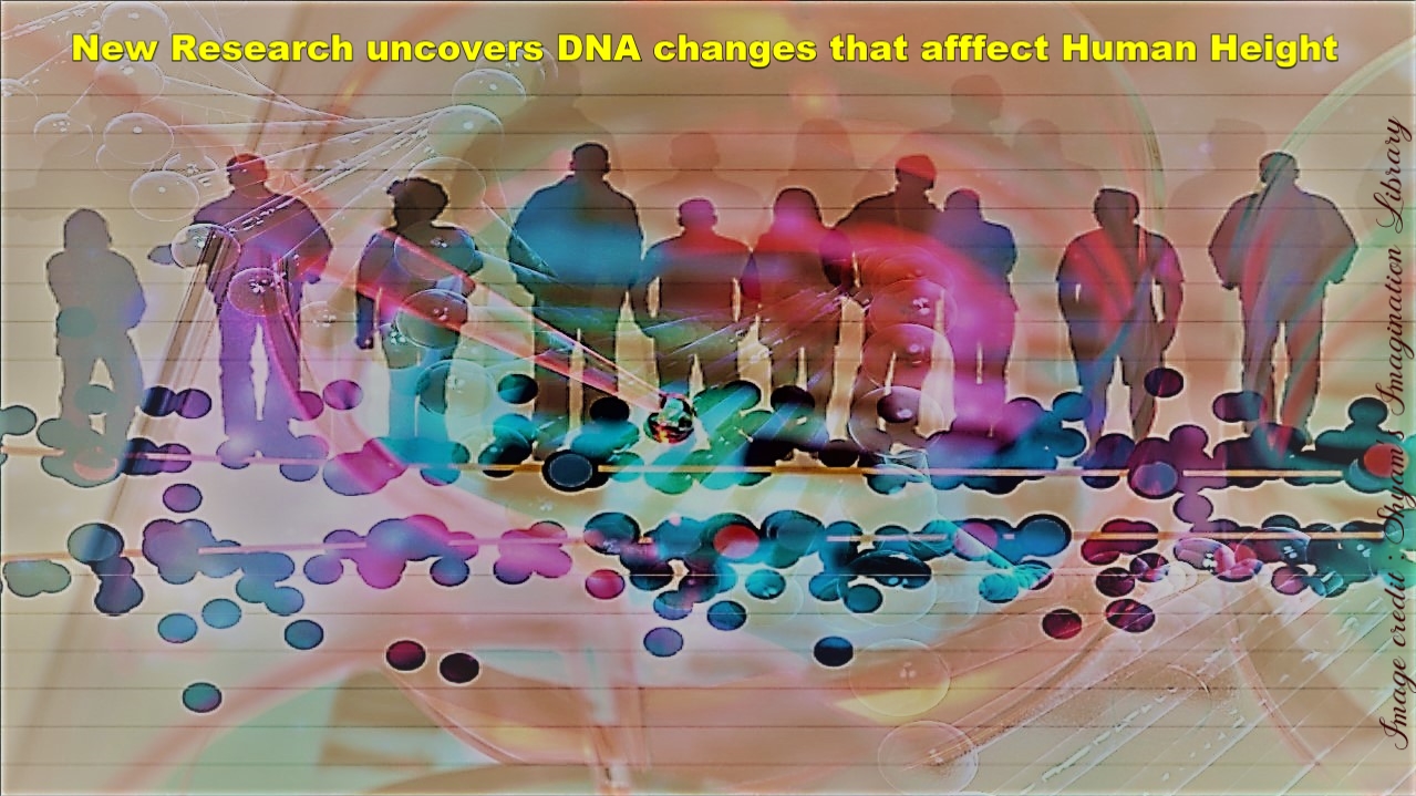career: New Research uncovers DNA changes that afffect Human Height 03-30