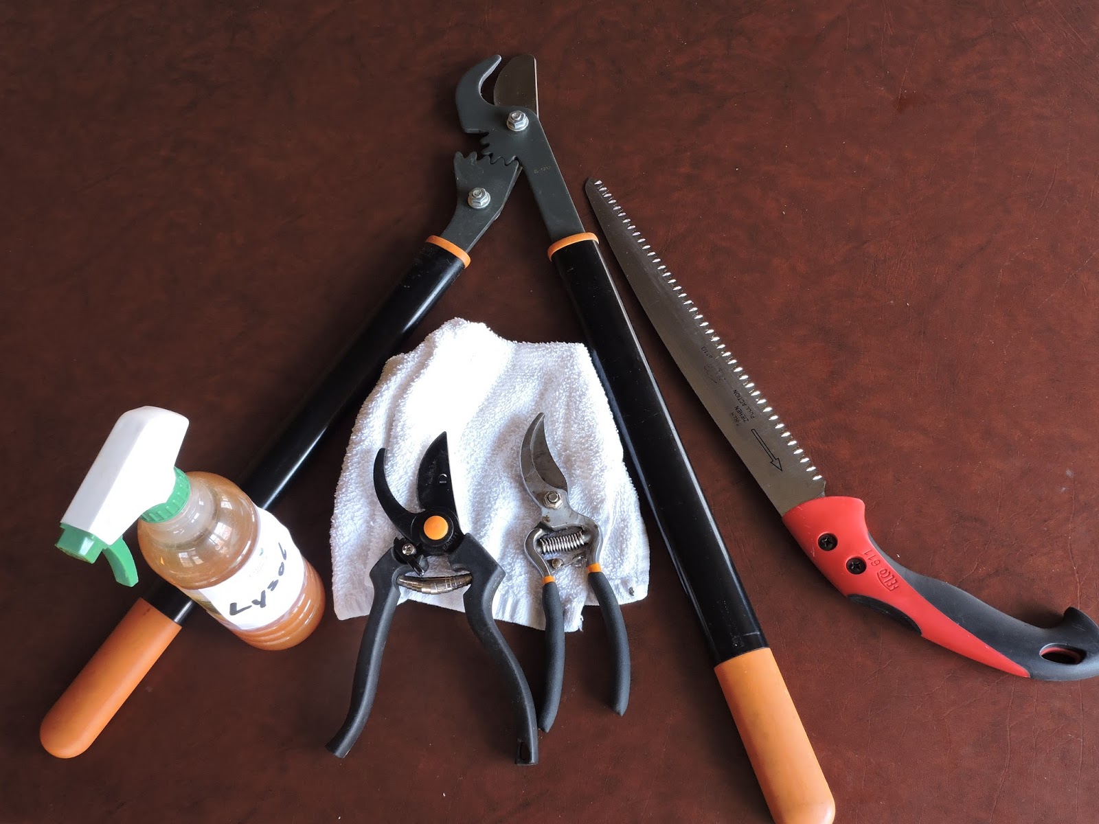 Northern Hills Master Gardeners: Time to Prune Your Deciduous Shrubs ...