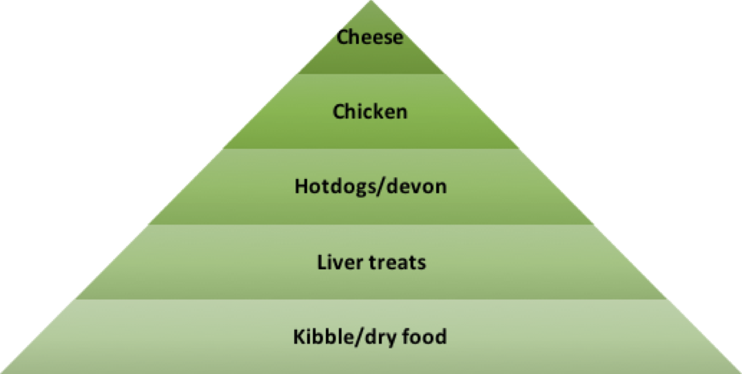 Pets Behaving Badly: Solutions with Dr Kate: Not All Treats Are Equal ...