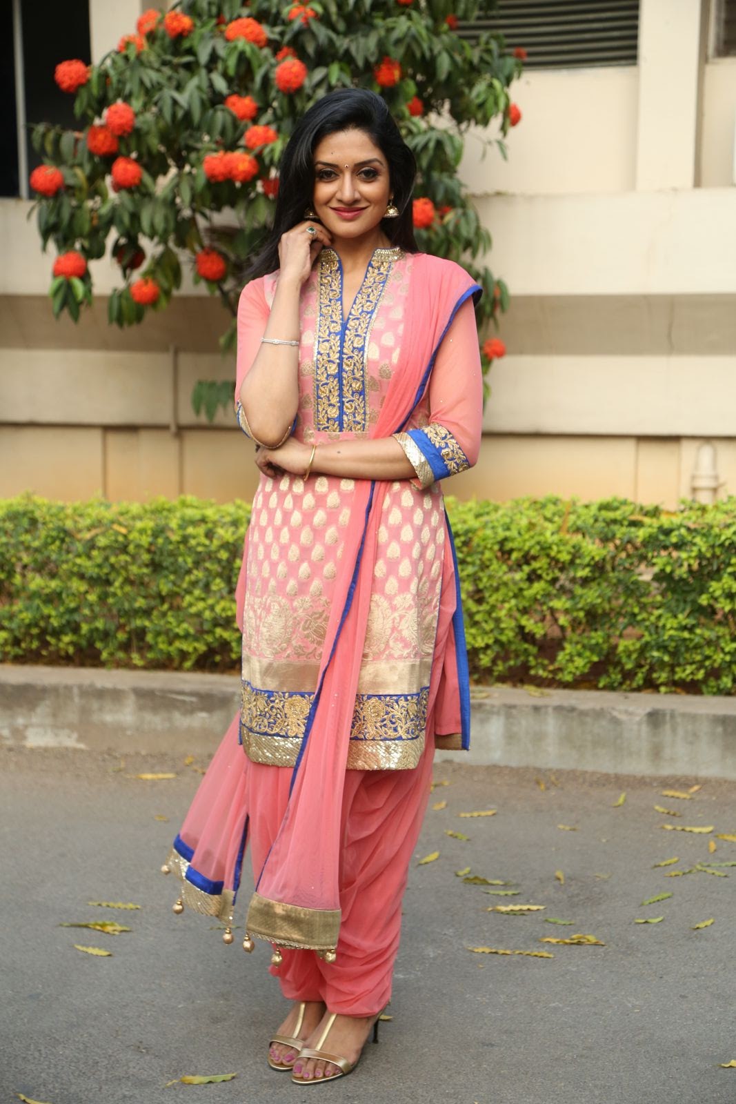 Vimala Raman latest glamorous photos