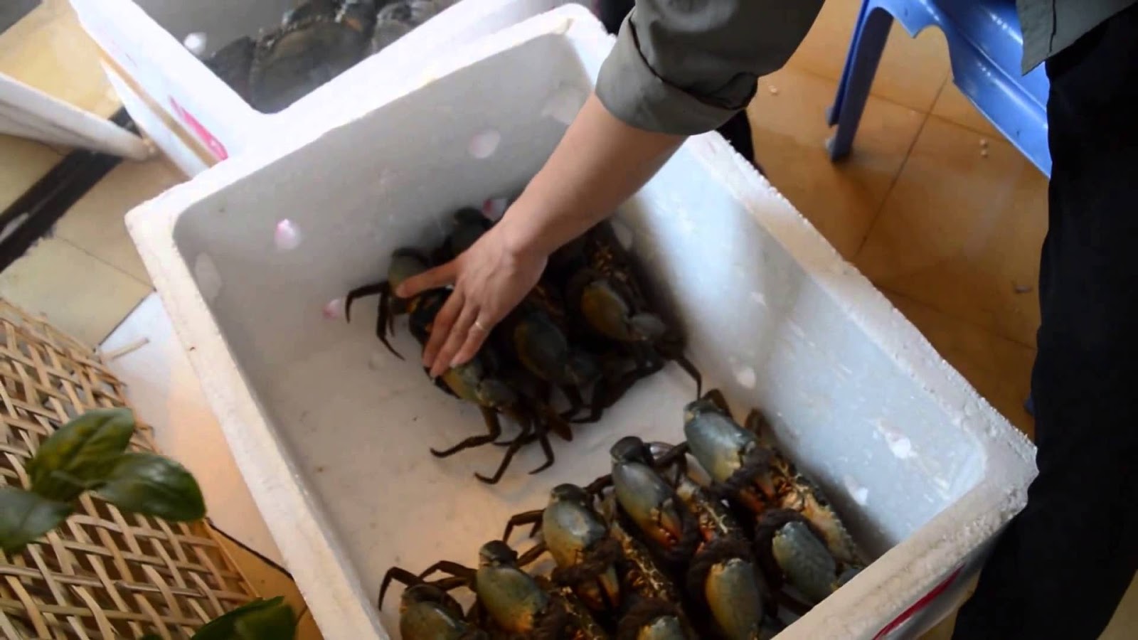 Vietnam Crab Export | Pasteurized Crab Meats, Pasteurized Crab Meat ...