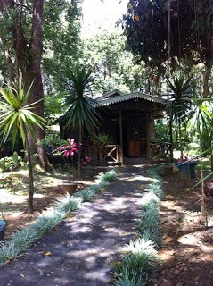 FORESTRY IN MAURITIUS: SOPHIE NATURE WALK