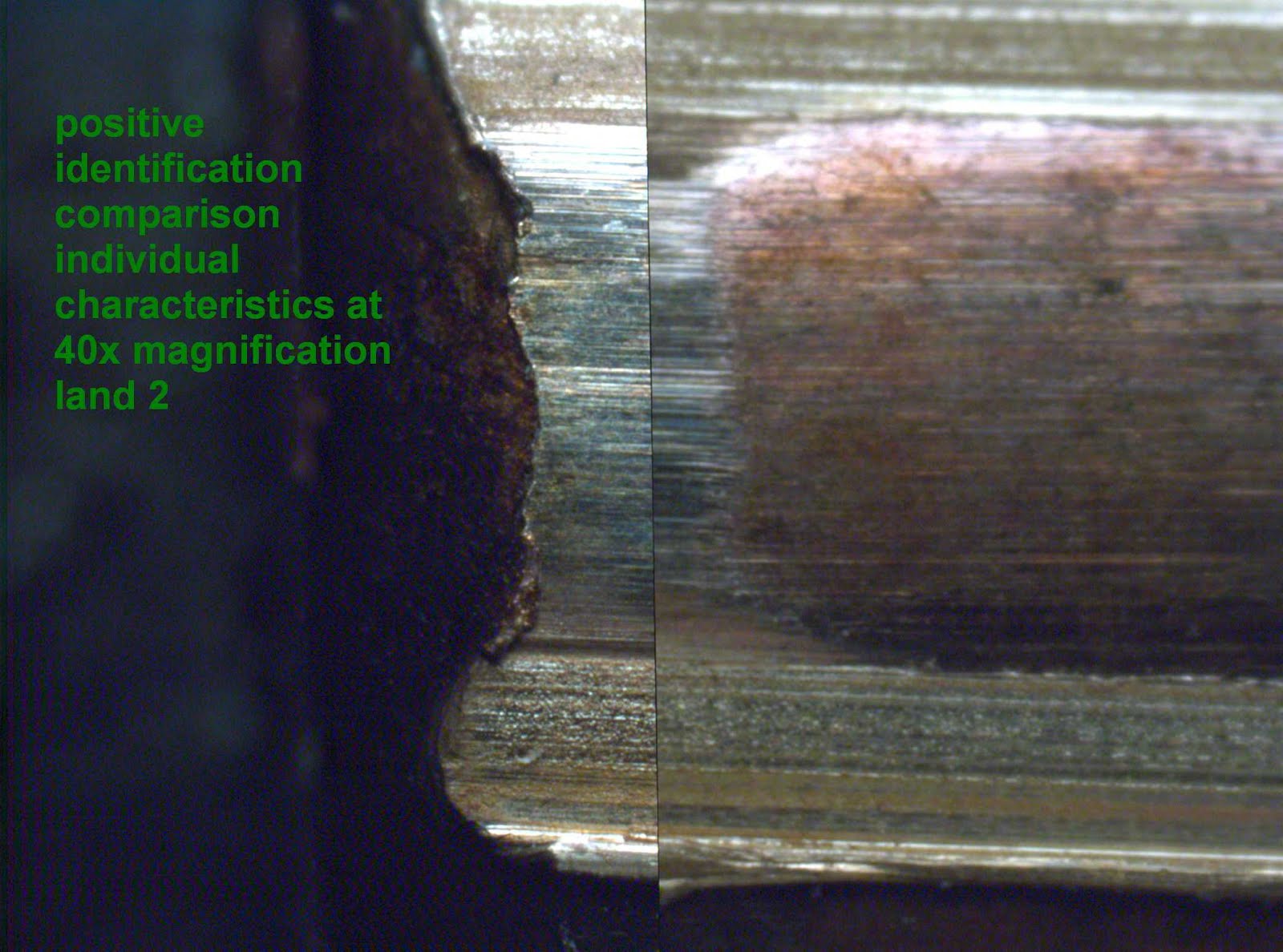 D.A. Confidential: Ballistics - matching bullets