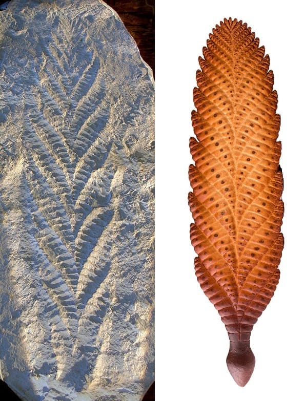 El eón Proterozoico