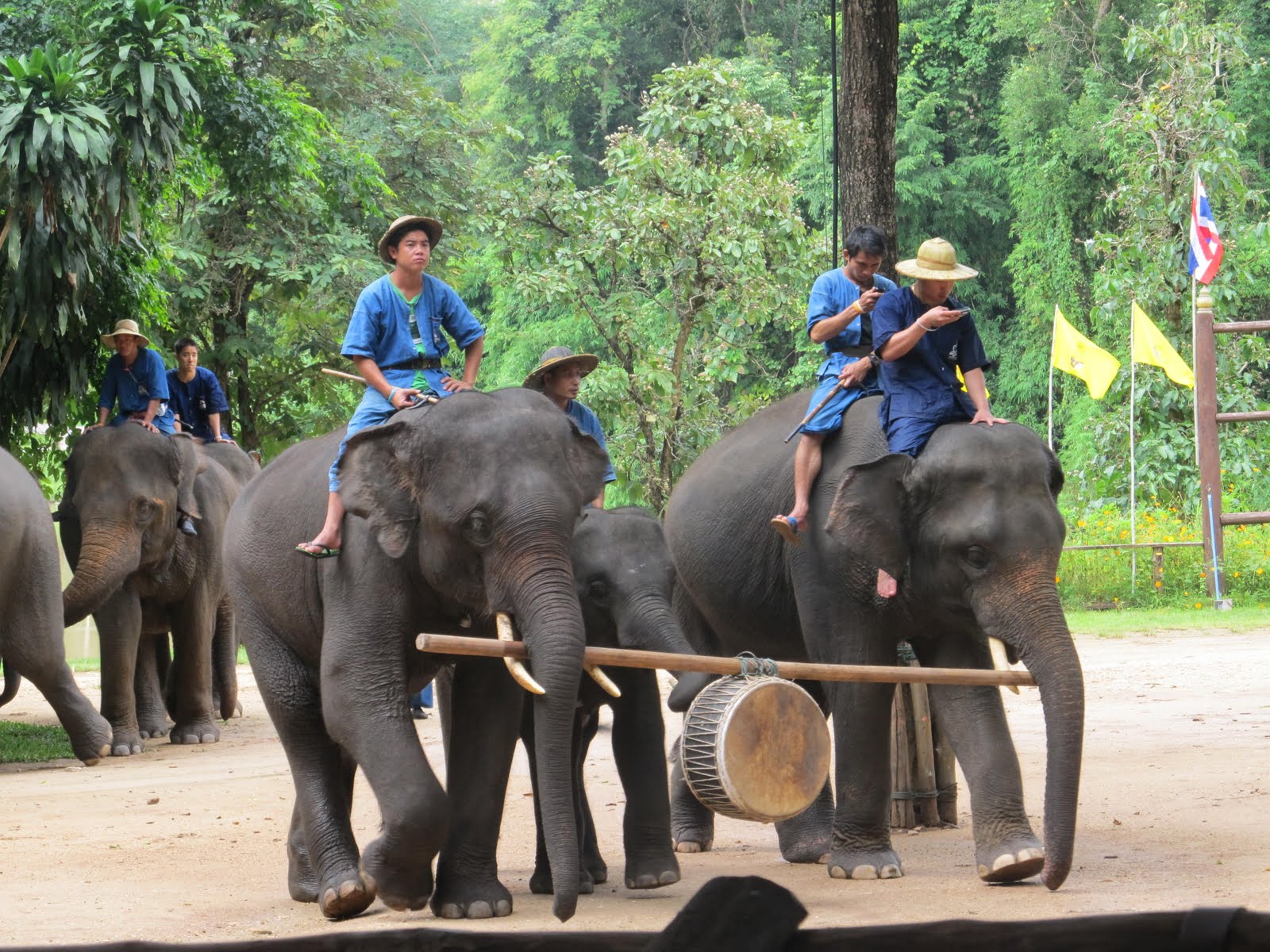 Ms. Specht's Asia Trip: Elephant rides and show at the Elephant ...