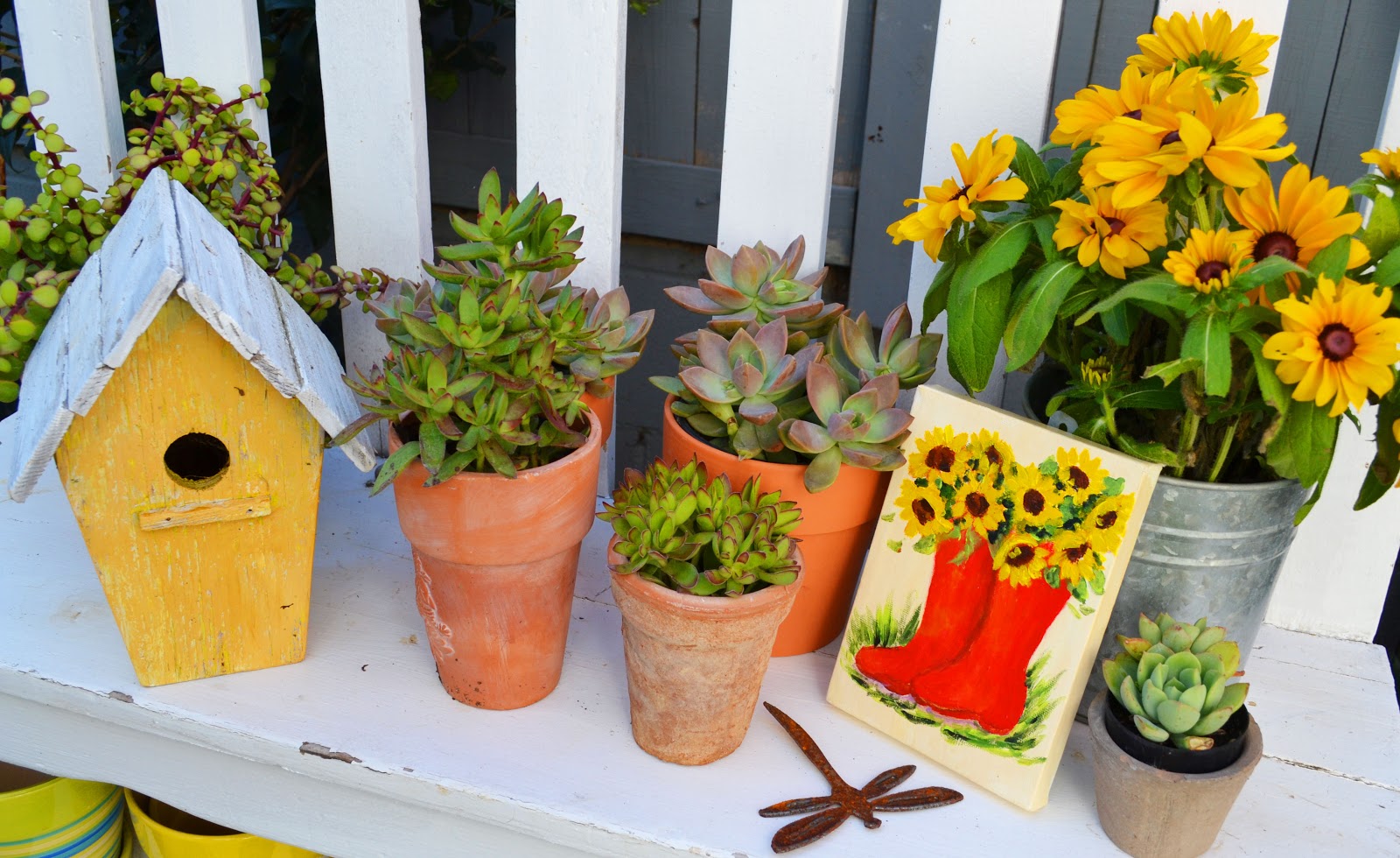My Painted Garden: Adding Pops of Color and "Water-Wise" Garden Flowers