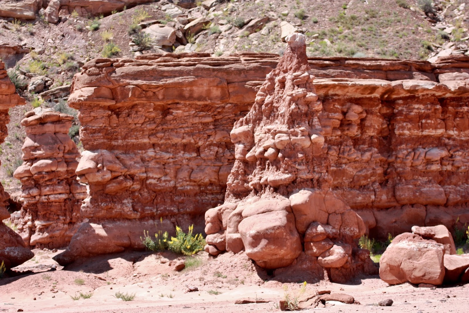 The Southwest Through Wide Brown Eyes: Recapture Pocket, a Hoodoo ...