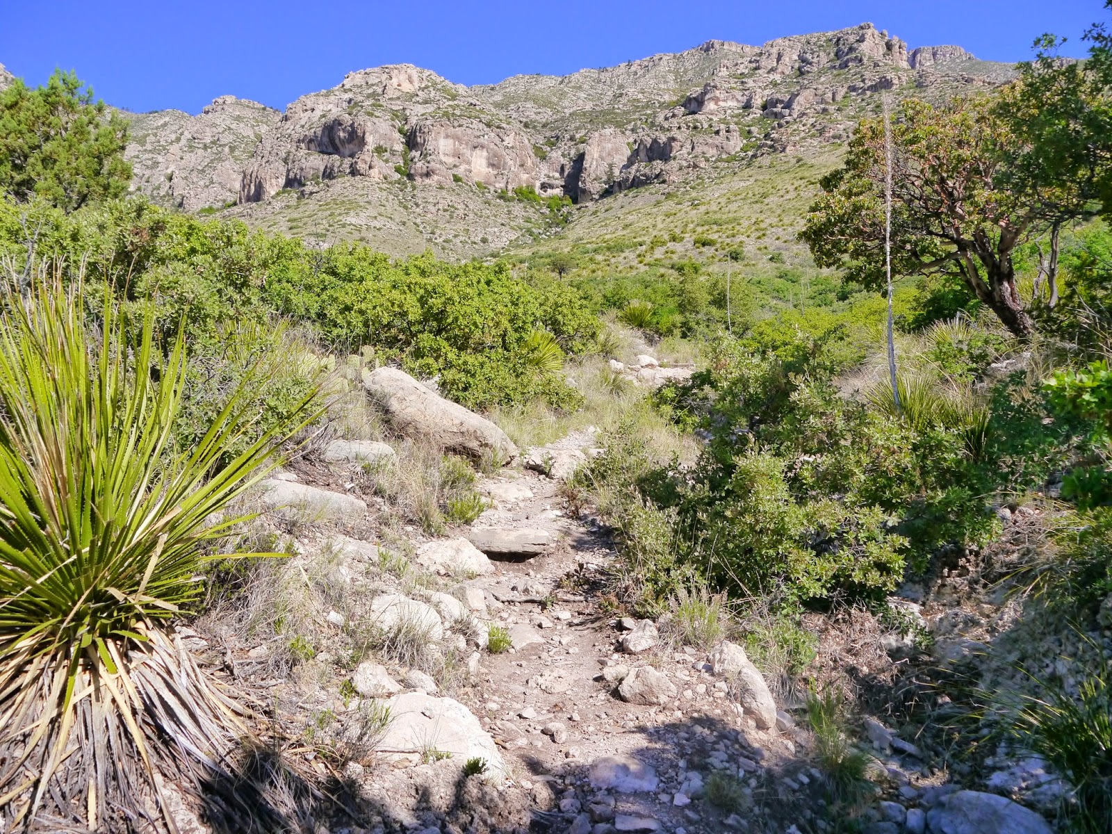 American Travel Journal: Smith Spring Loop Trail - Guadalupe Mountains ...