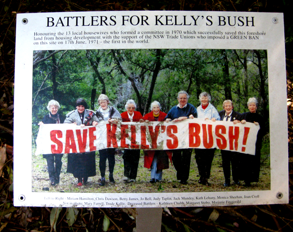Bytes: Reader Comments / 5 Minutes of History: Kelly's Bush