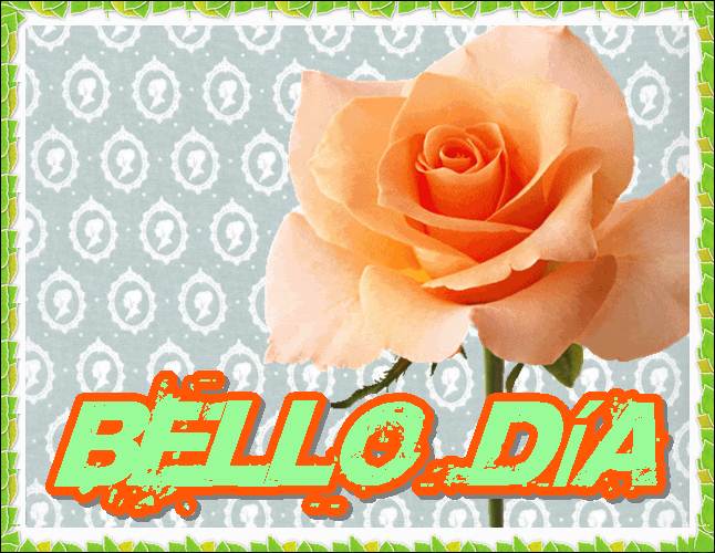 ZOOM FRASES: saludos de bello día para compartir en facebook o twitter