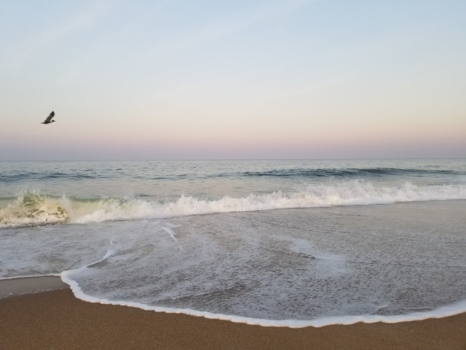 Purposeful Aimlessness - Robin Kramer Writes