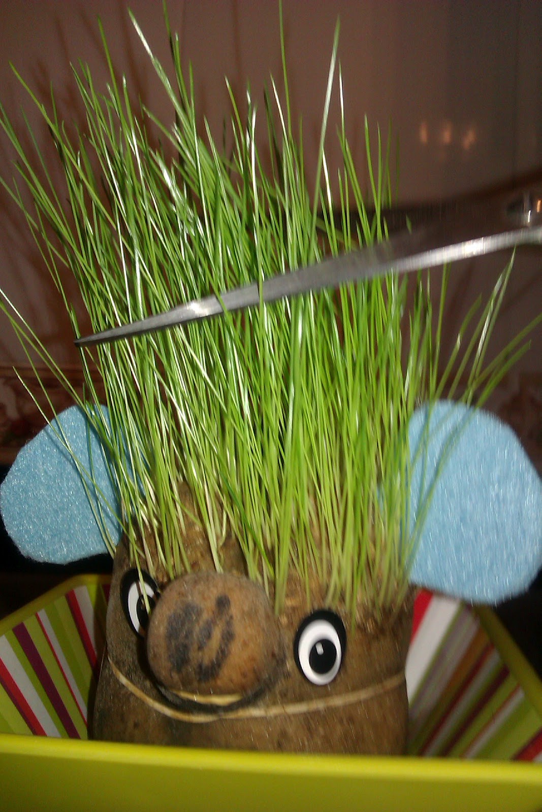 Encontramos Tu Mundo: Grass Puppets ¡¡A cortarle el pelo!!