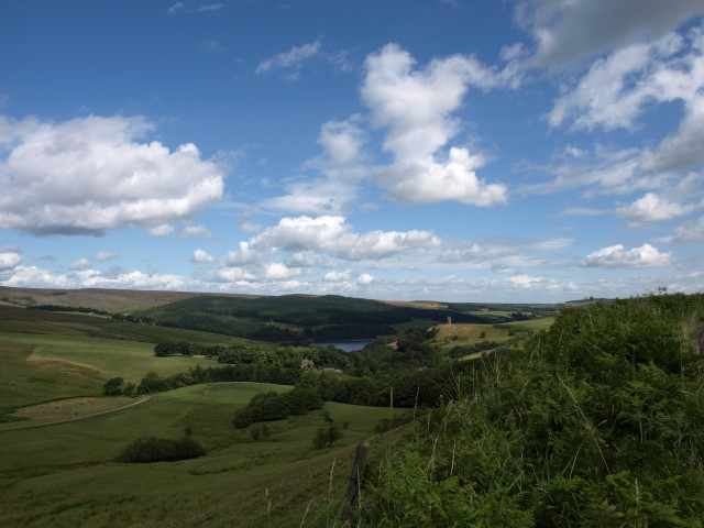 Peak Walks 2: Take the Strine!