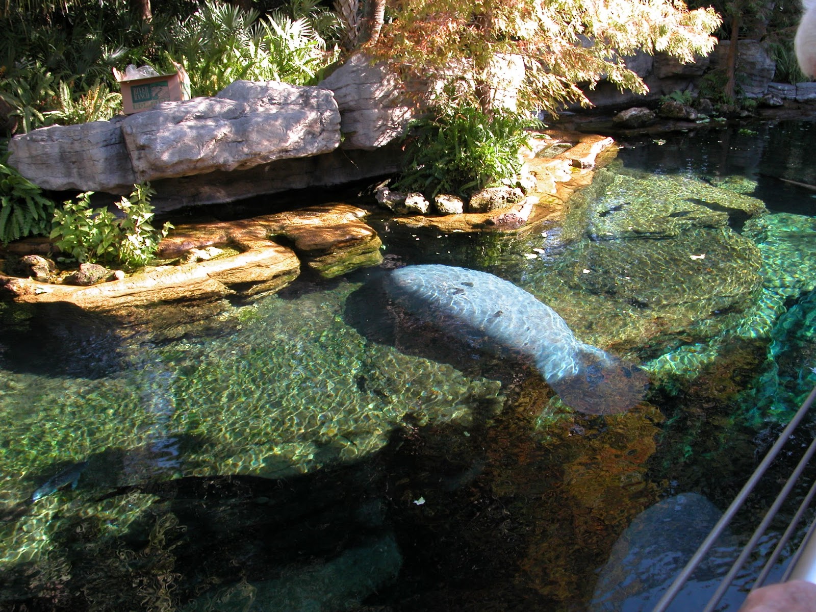 Zoo and Aquarium Design: Outdoor aquarium tanks
