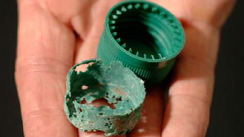 LA SOBERANÍA ALIMENTARIA : BIODEGRADACION