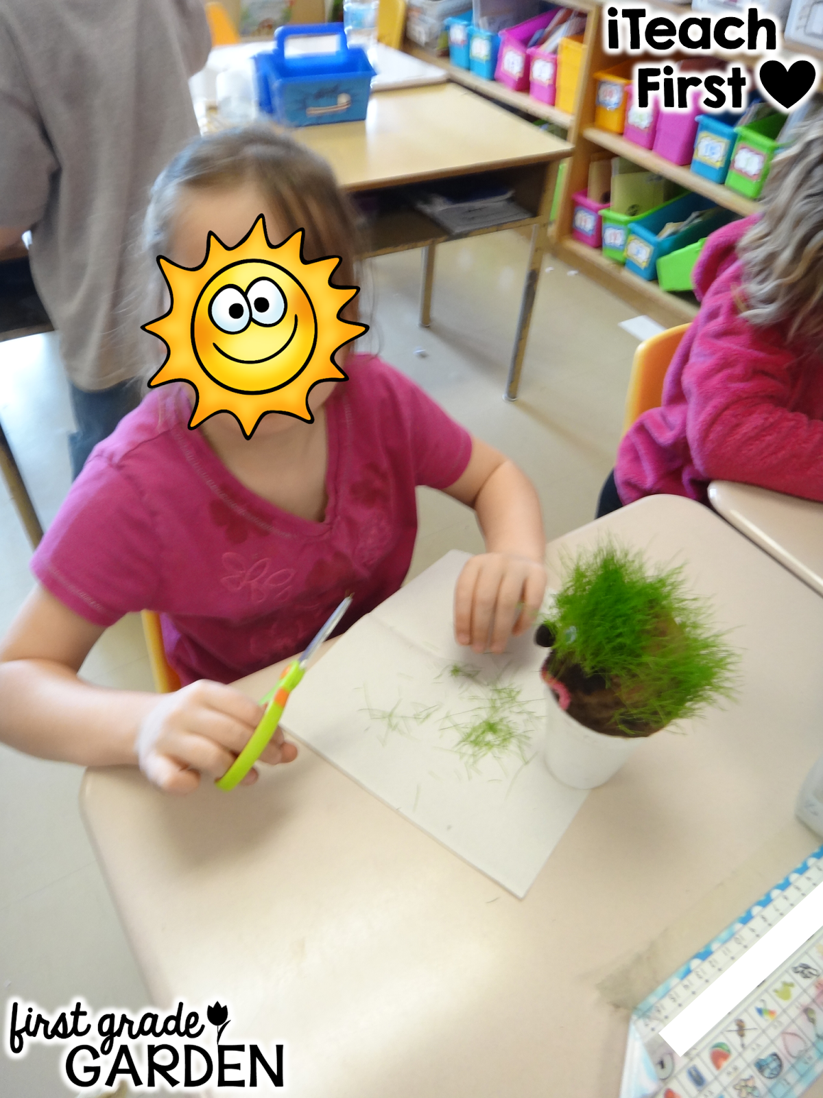 I Teach First: 1st Grade Teaching Resources: Grassheads! (with Amanda ...
