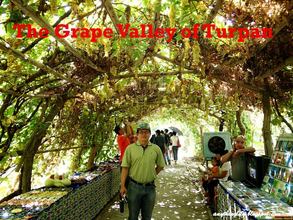 anythinglily: China Silk Road Travel Part 12: The Grape Valley Of Turpan