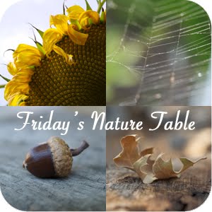 Explore and Express: How and why to set up a nature table
