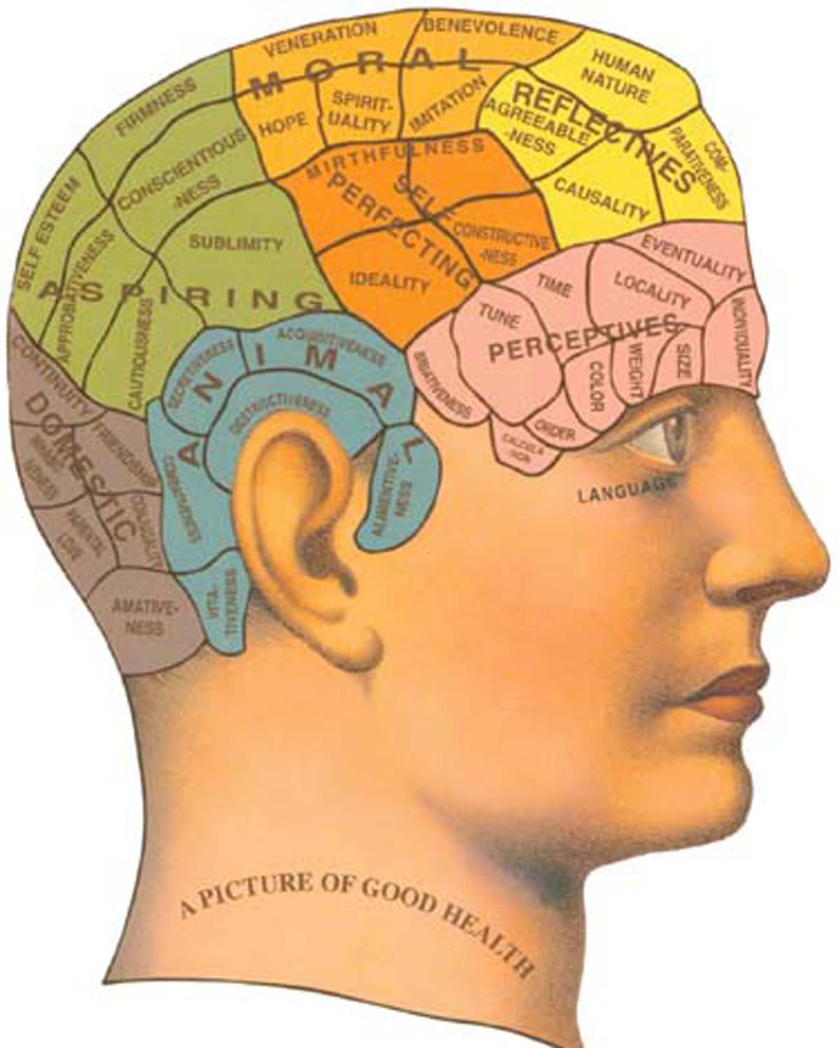 begin being: December 2012