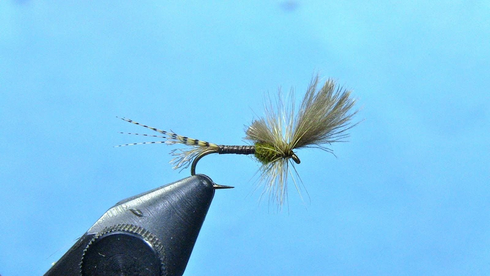 Black Hills Fly Fishing: Tying the Last Chance Cripple Baetis (Blue ...
