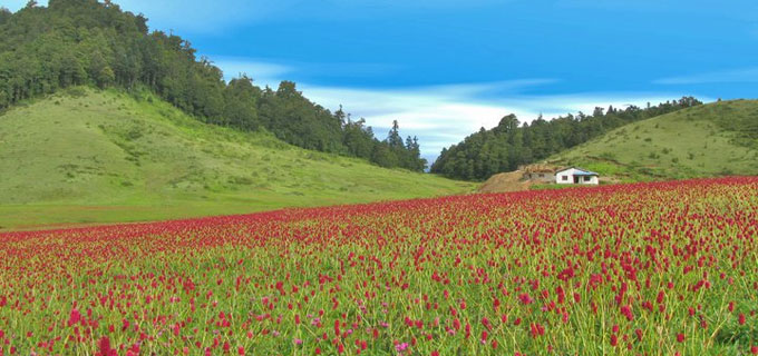 Khaptad National Park.
