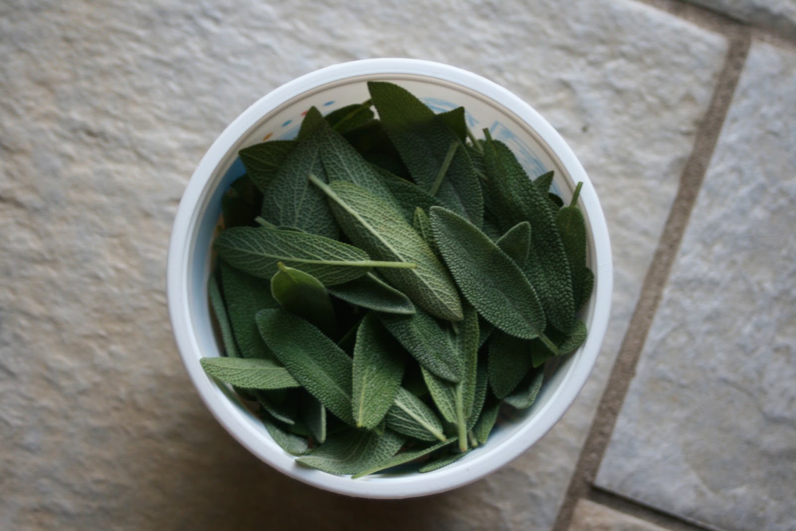 The Little Backyard Farm: Preserving sage
