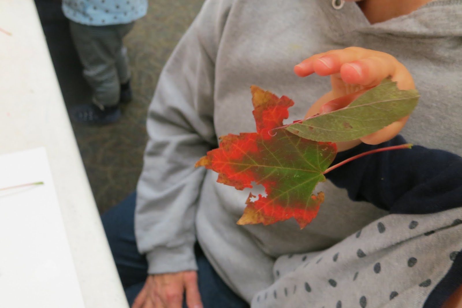 Toddler Art Class: Leaf Punching : library makers