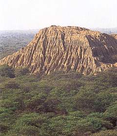 BATAN GRANDE TIERRA DE SICAN: Batan Grande