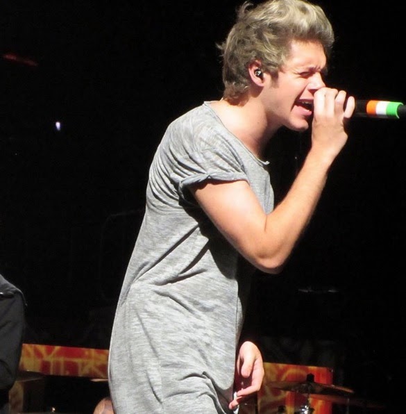 One Direction Girls ♥: Concierto en Charlotte, EEUU.-Where We Are Tour ...