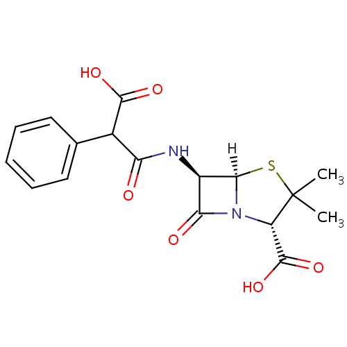 Pharmacology Of Carbenicillin
