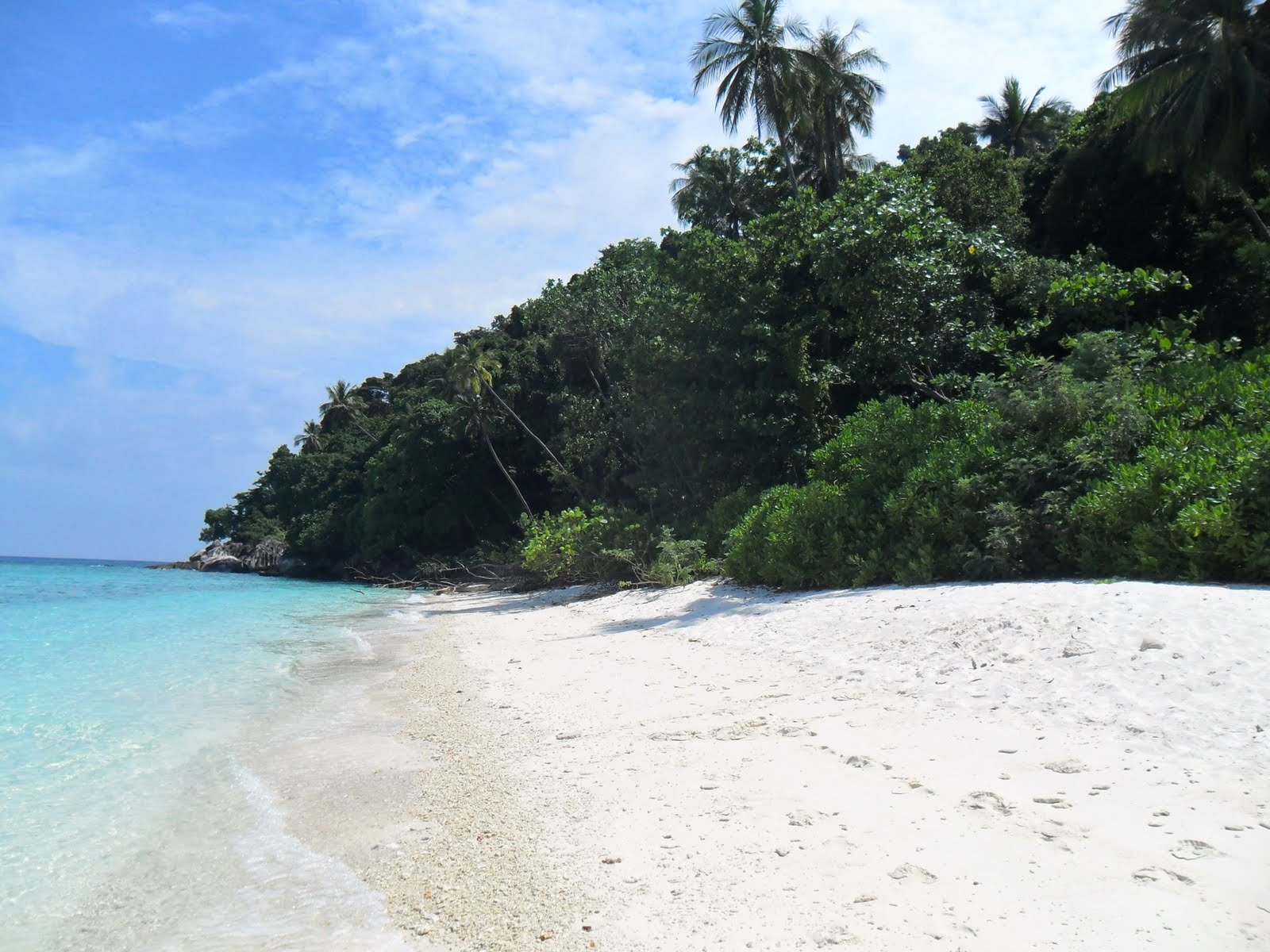 Freelance Flaneur: Tea for the Tioman