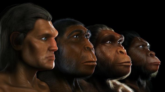 Rosa Rubicondior: Unintelligent Design - As Plain As The Nose On Your Face!