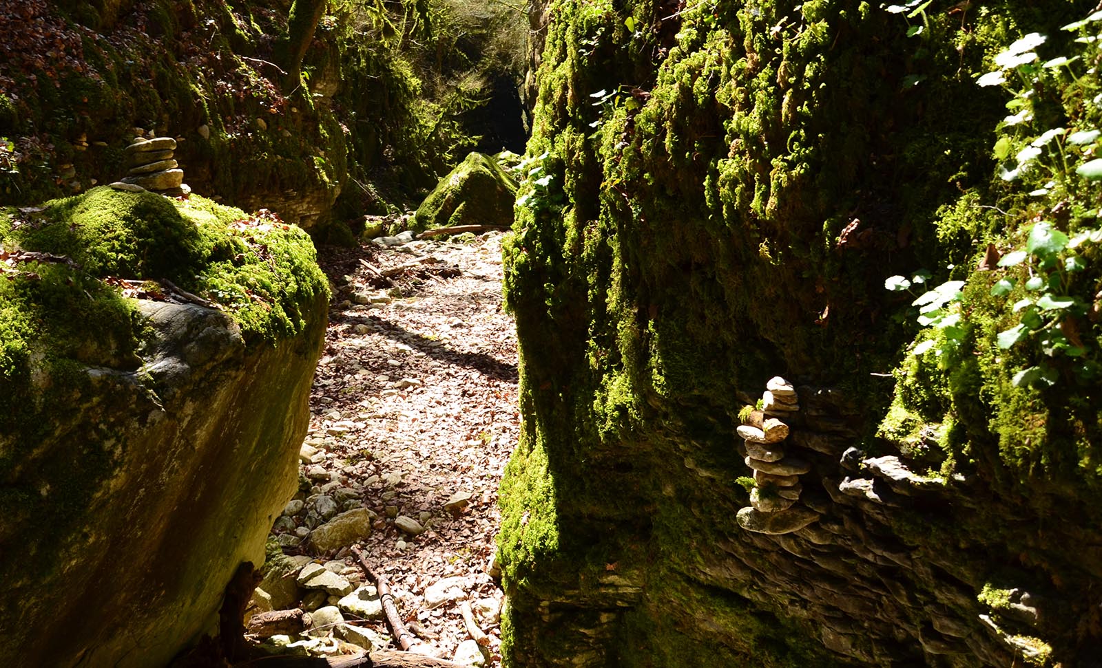 DROMESCAPE - Randonnées en Drôme et Escapades photographiques: Le ...